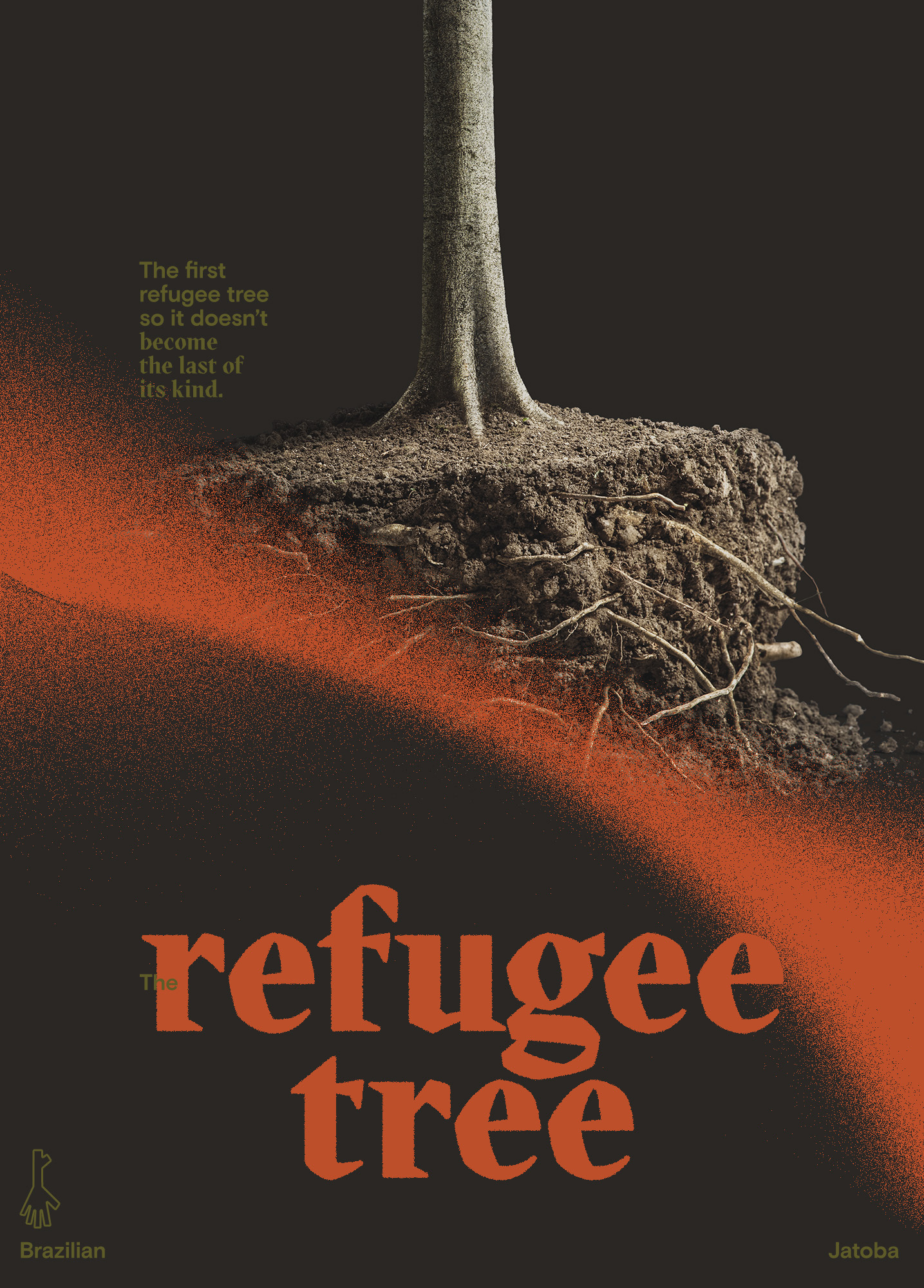 For the first time a tree seeks asylum and unveils the drama of native ...