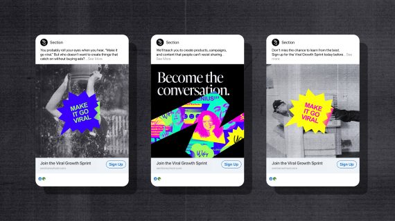 DesignStudio and Section team up to revolutionize learning with a new ...